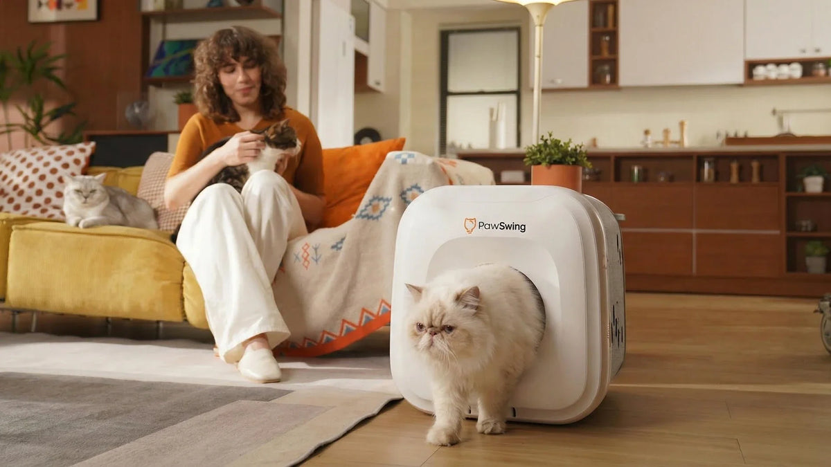 How to Stop Mats in Your Himalayan Cat’s Fur with PawSwing Neo – PawSwing®